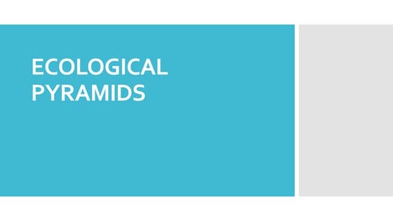 Ecological pyramids ppt | PPTX | Biological Sciences | Science