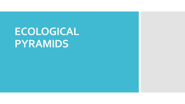 Energy pyramid lesson | PPT