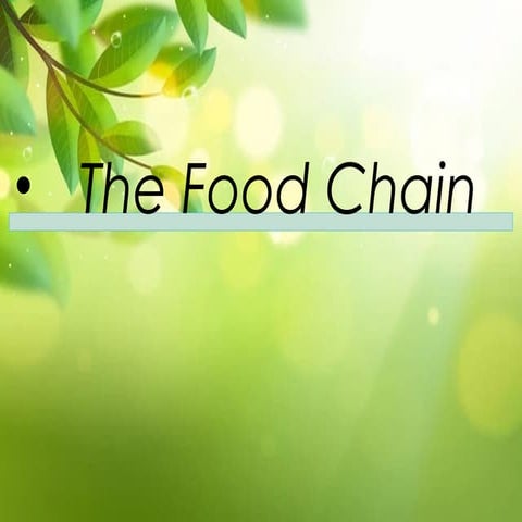 EVS - food chain and web.p. p. tx | PPTX