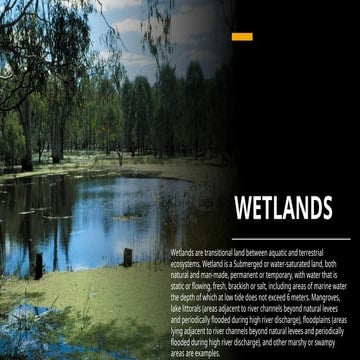 EVS - Wetlands, case study. Definition, examples | PPTX