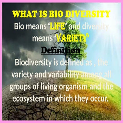 BIO DIVERSITY AND ITS PRESERVATION AND EFFECTS | PPTX