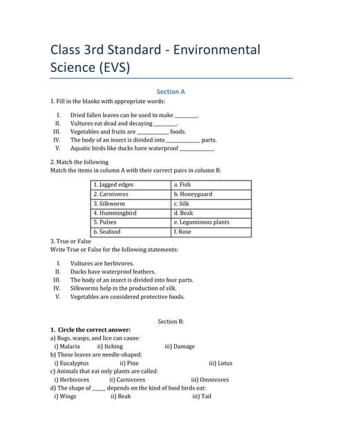 Vanda International Science Competition Primary Grade 3 | PDF