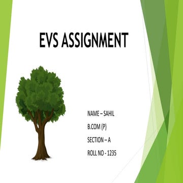 EVS ASSIGNMENT.pptx