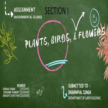EVS_ASSIGNMENT_GRP 13 (2).pptx