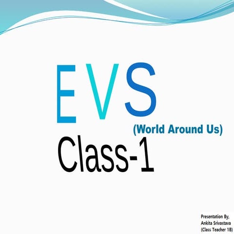 CBSE board 1st class EVS chapter DEMO.pptx