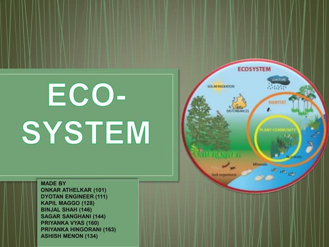 Life science ecosystem. grade 10 | PPTX