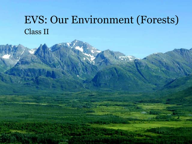 Environmental Science (EVS) : Plants Around Us (Class III) | PDF