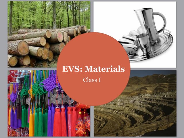 Environmental Science (EVS) : Plants Around Us (Class III) | PDF