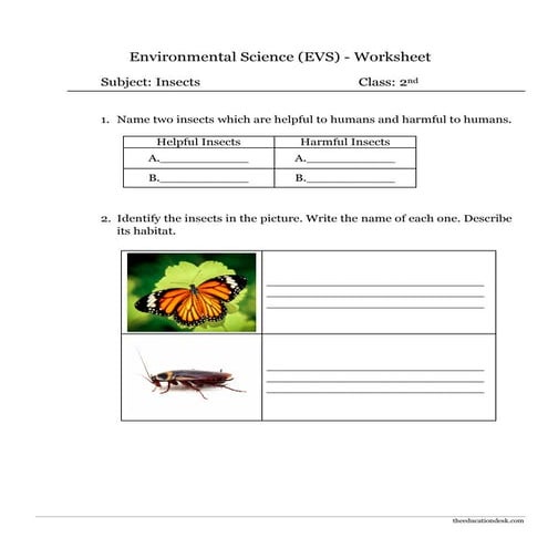 Environmental Science (EVS): Insects Worksheet (Class II) | PDF