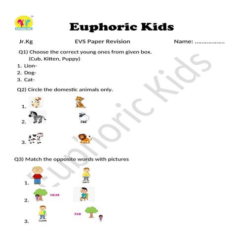 exam paper for preschool kids EVS paper.docx