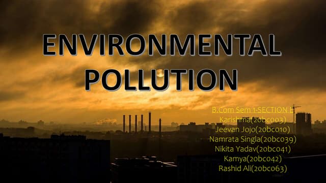 Human & Social Biology - Sample Project on 'The Impact of Heath ...