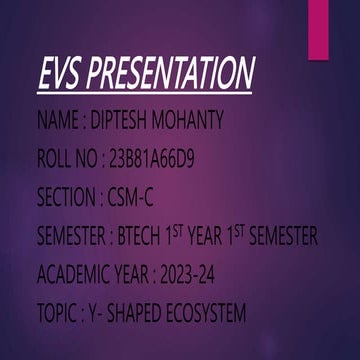 EVS PRESENTATION.pptx