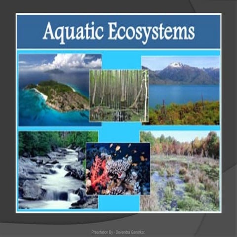 "Aquatic Ecosystems: Types, Functions, and Importance | EVS ...