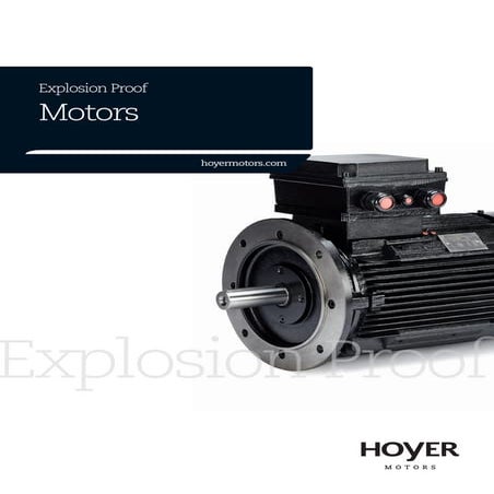 Двигатели взрывозащищенные серии AT Hoyer Motors | PDF