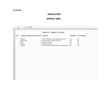 EX.02 ANALYSIS.docx
