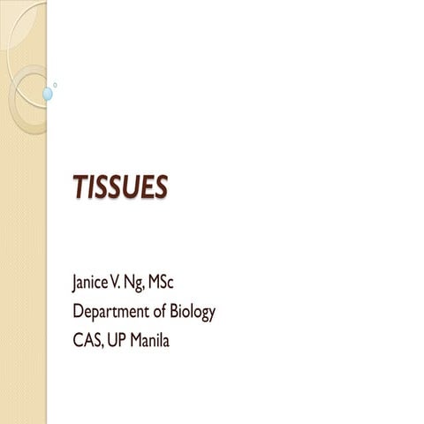 Histology | PPT