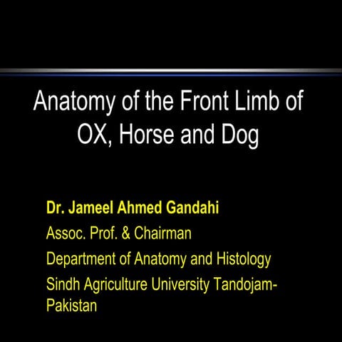 Ex#01 Anatomy of Forelimb of Animals.ppt