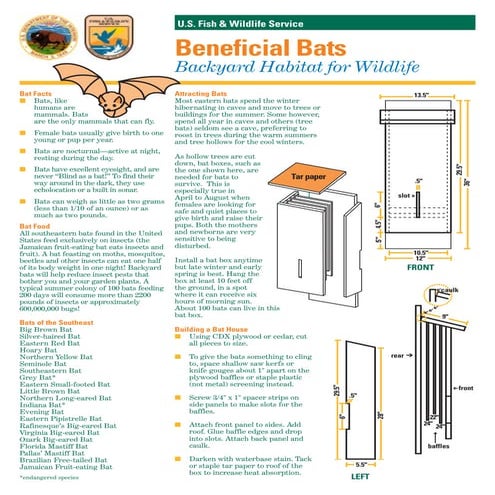 How to Build a Bat House | PDF
