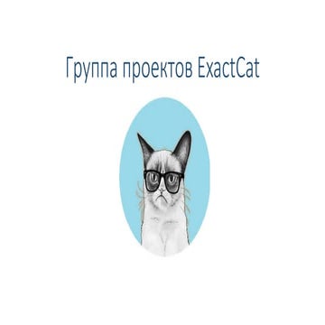 Exact cat | PPT