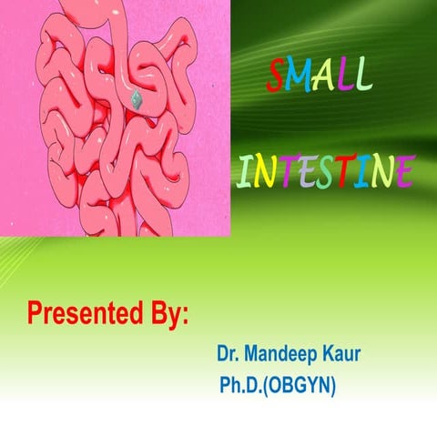 Fitts and Posner.ppt theory its uses types of learning phases | PPT