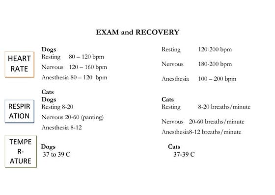 Exam and Recovery Form | DOC