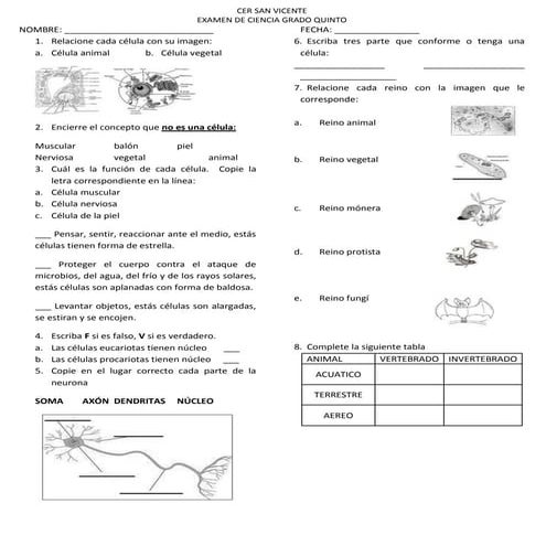 Examen ciencias Cèlulas, Reinos Seres Vivos quinto | DOCX