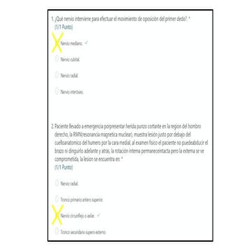 EXAMEN DE LOCOMOTOR CAPITULO11- ANATOMIA | PDF