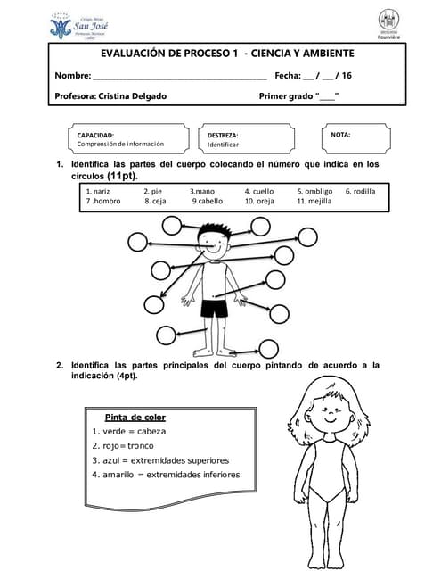 Hojas De Trabajo Sobre El Cuerpo Humano Para Primer Grado TEMA: