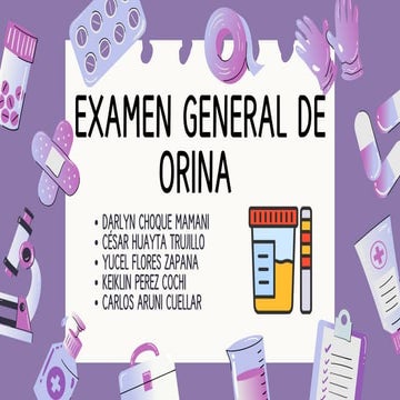 Examen General de Orina (EGO): Enfoque Clínico y Patológico | PDF