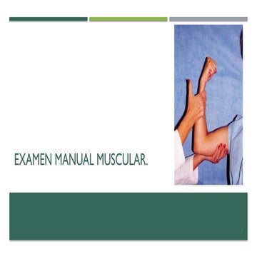 EXAMEN MANUAL MUSCULAR | PPTX