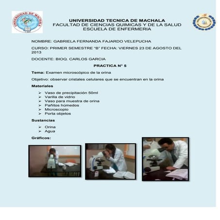 Examen microscopico de la orina | DOCX