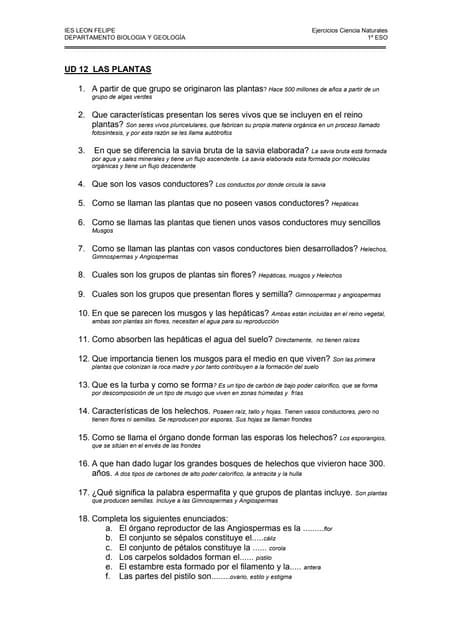 El reino de las plantas esquema 1ºESO | PDF