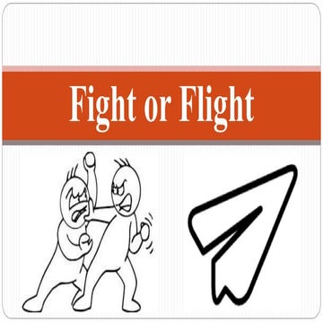 Exam Fear, Fight or Flight, Before During and After Exam | PPTX