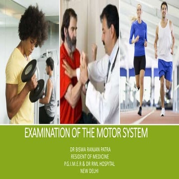 Examination of the motor system | PPTX