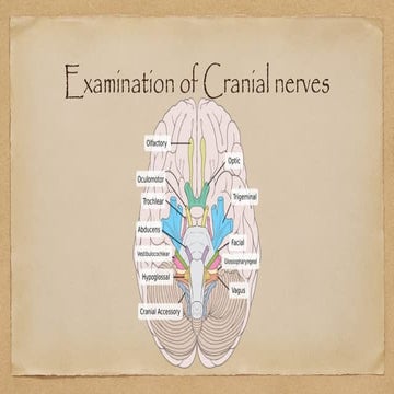Examination of cranial nerves I-XII CN.pptx