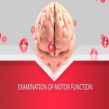 Exam of Motor Function based physiotherycourse | PPT | Free download