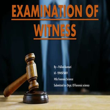 Examination of Witness.pptx