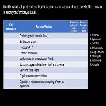 examination on melcs3.pptx