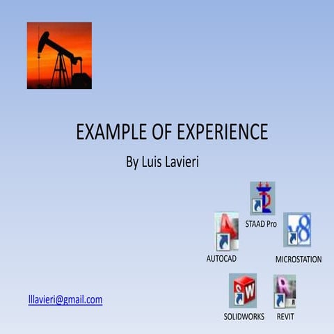 Example Of Experience | PPTX