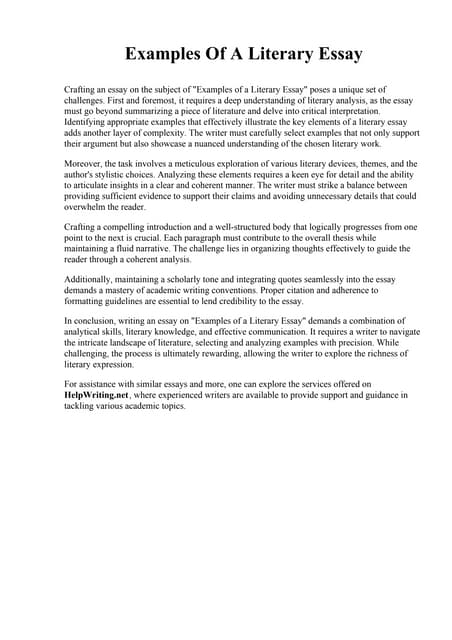 Literary Essay Example. George Washington University | PDF