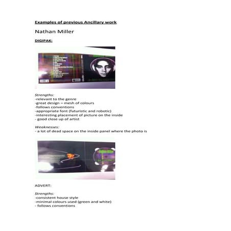 Examples Of Previous Ancillary Work | PDF
