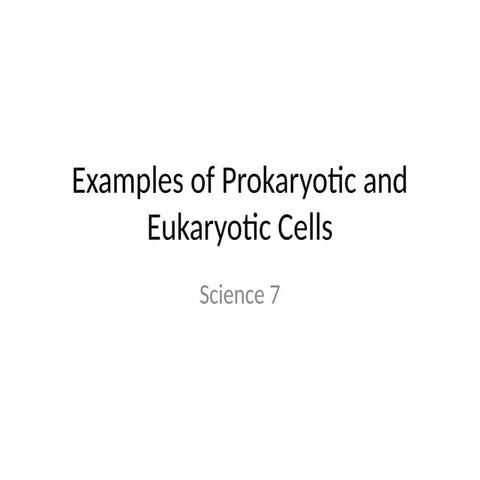 GROUP 3 powerpoint presentation lesson.pptx