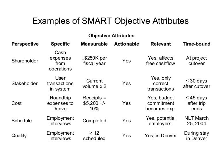 Examples of smart_objective_attributes