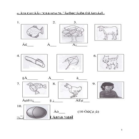 Exam science mid year 1 | DOCX