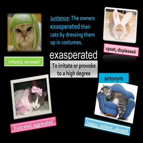 Exasperated example vocab | PPT