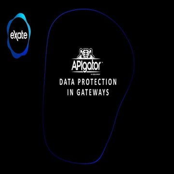 Interface By Apidays Api Data Protection In Gateways Ppt