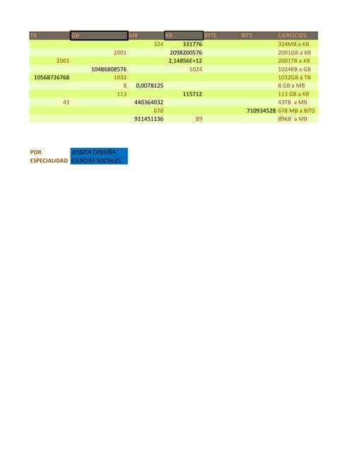 Manejo de excel | DOCX | Technology & Computing