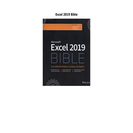 Excel 2019 Bible | PDF