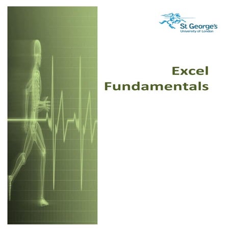 Excel fundamentals-manual | PDF