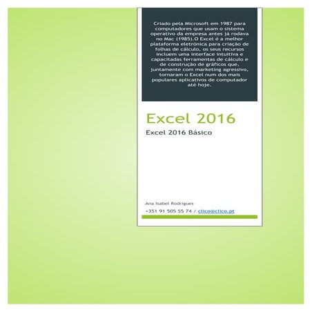 Excel para Iniciantes: Guia Prático com Exercícios (Português) | PDF